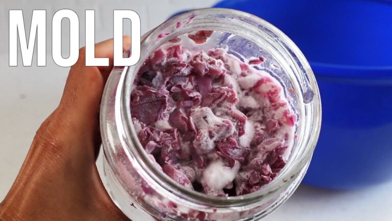 Mold on Vegetable Fermentations - Clean Food Living
