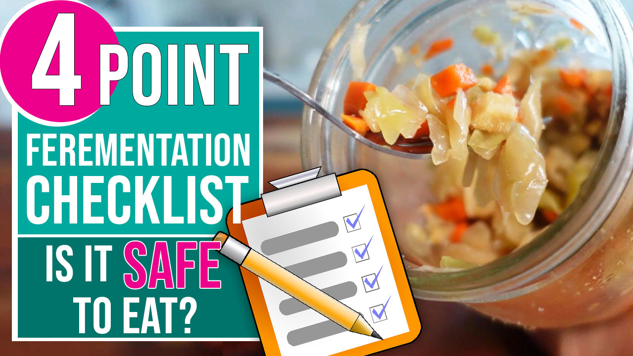 Fermentation Checklist - Clean Food Living